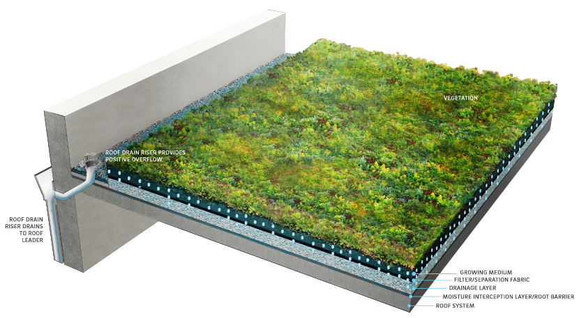 Create a Green Roof - Extreme How-To Blog